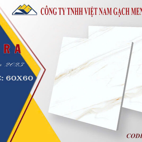 Bảng giá 165+ mẫu gạch lát nền 60x60 đẹp mới nhất 2025 - Hà Thanh – Tập ...